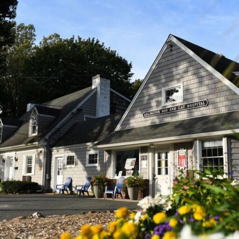 Contact Our Vets | Arlington Dog and Cat Hospital